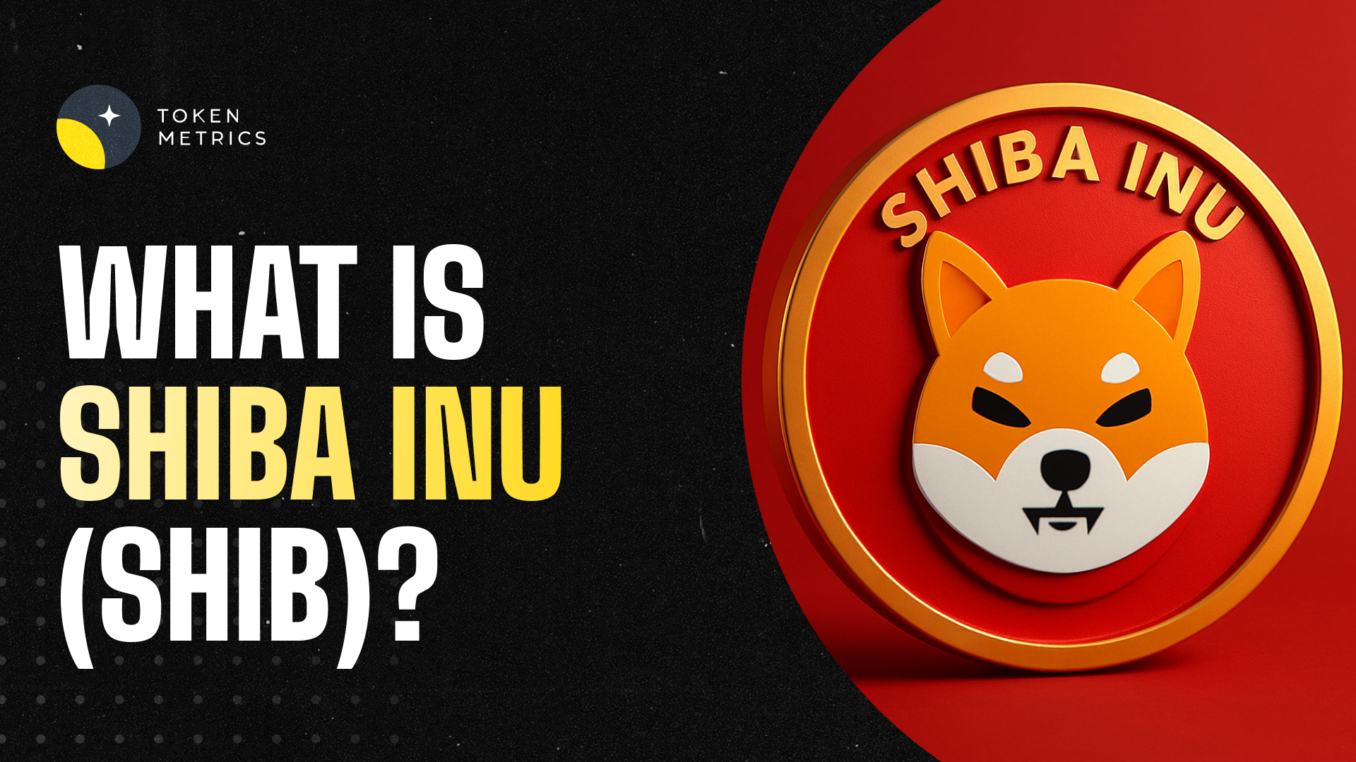 What Is Shiba Inu (SHIB)? A Complete Guide to the Meme Coin in 2025